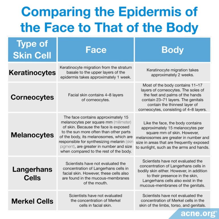 What Is the Difference Between Skin on the Face and Skin on the Body ...