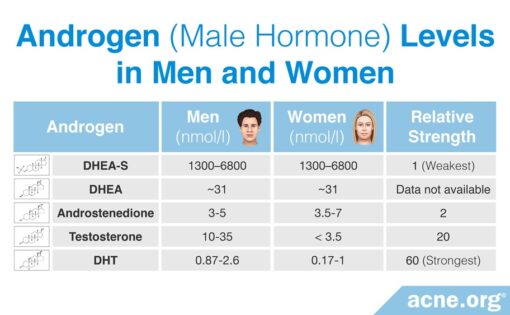 Testosterone and Acne Explained: Causes and Effects - Acne.org