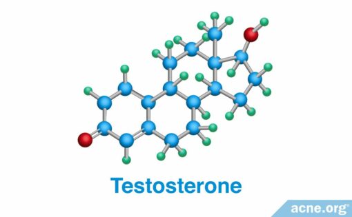 Testosterone and Acne Explained: Causes and Effects - Acne.org