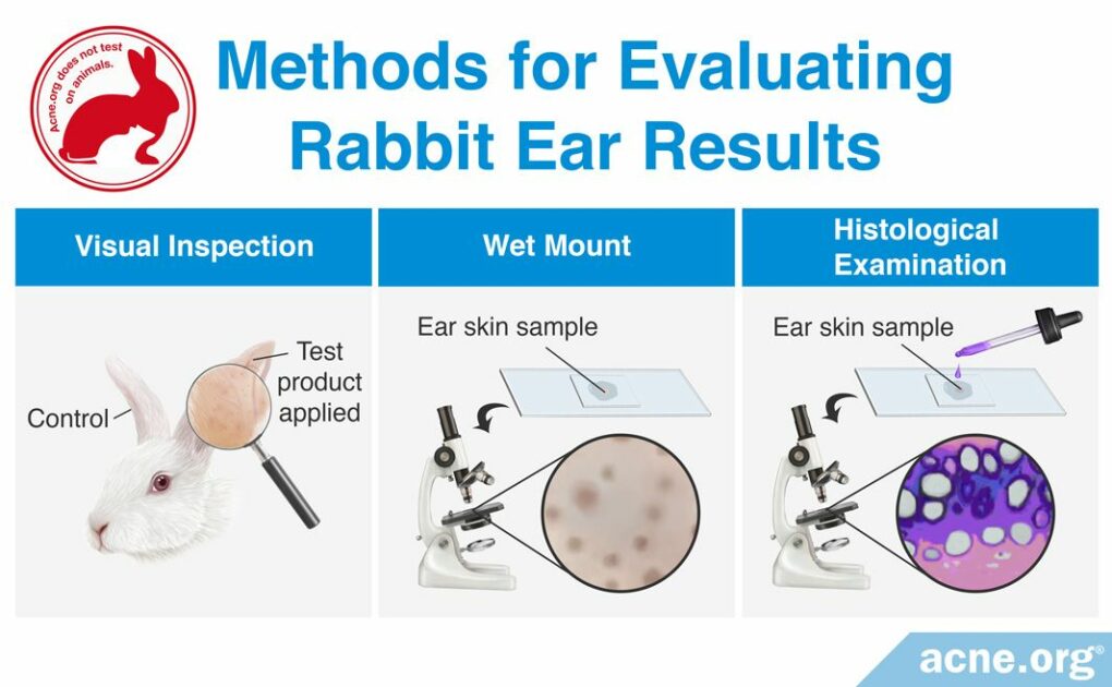 What Is Comedogenicity, and What Ingredients Are Comedogenic? The Full ...