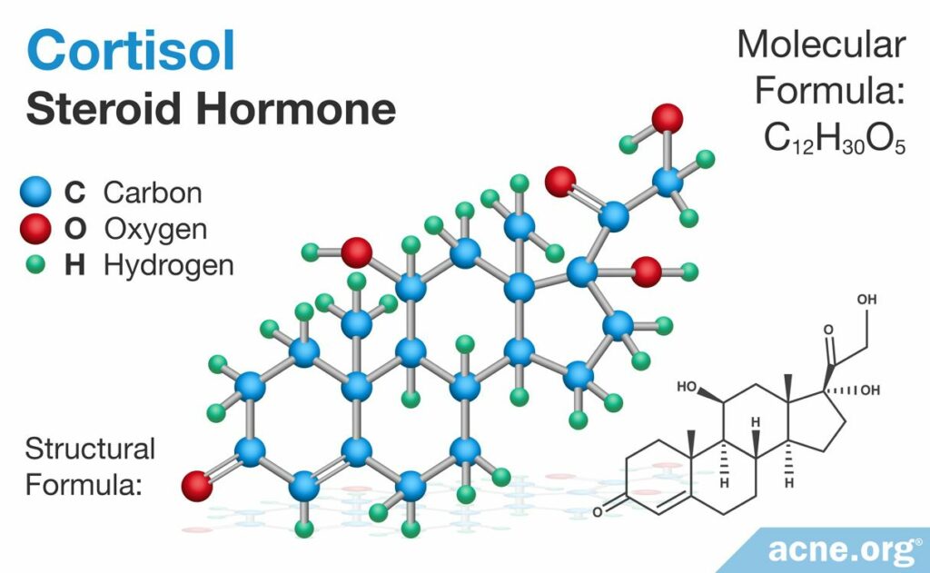What Is Cortisol, and Does It Affect Acne? - Acne.org